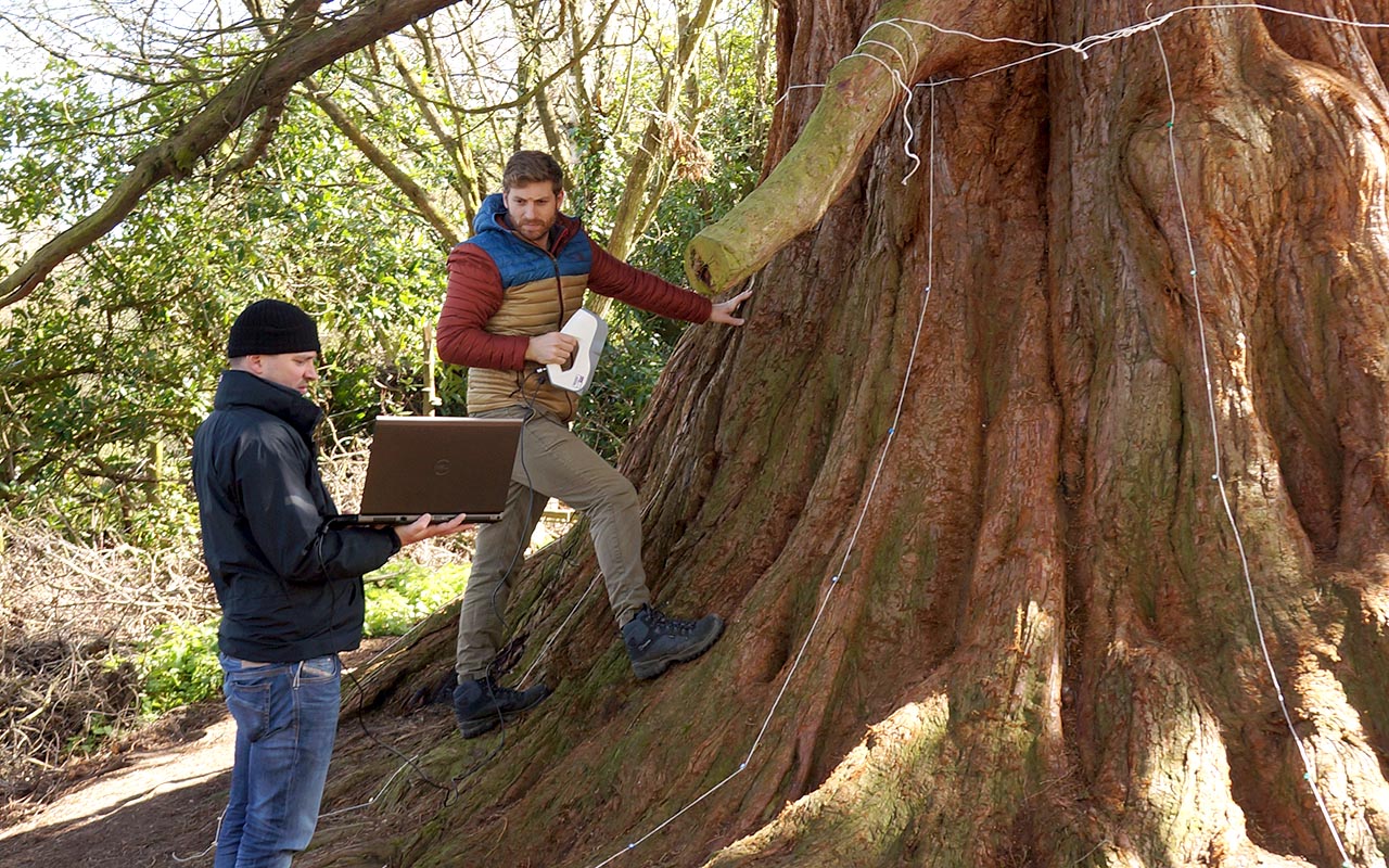 Tree scan 12000x800 - Wales Centre for Advanced Batch Manufacturing